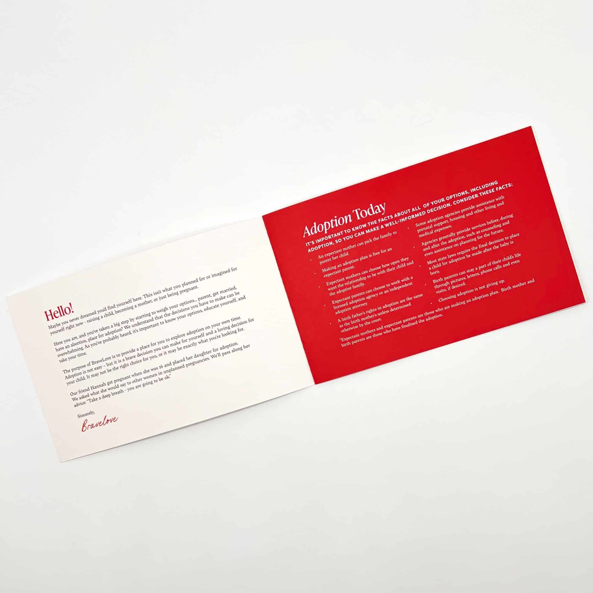 General Adoption Brochure - English Version - BraveLove