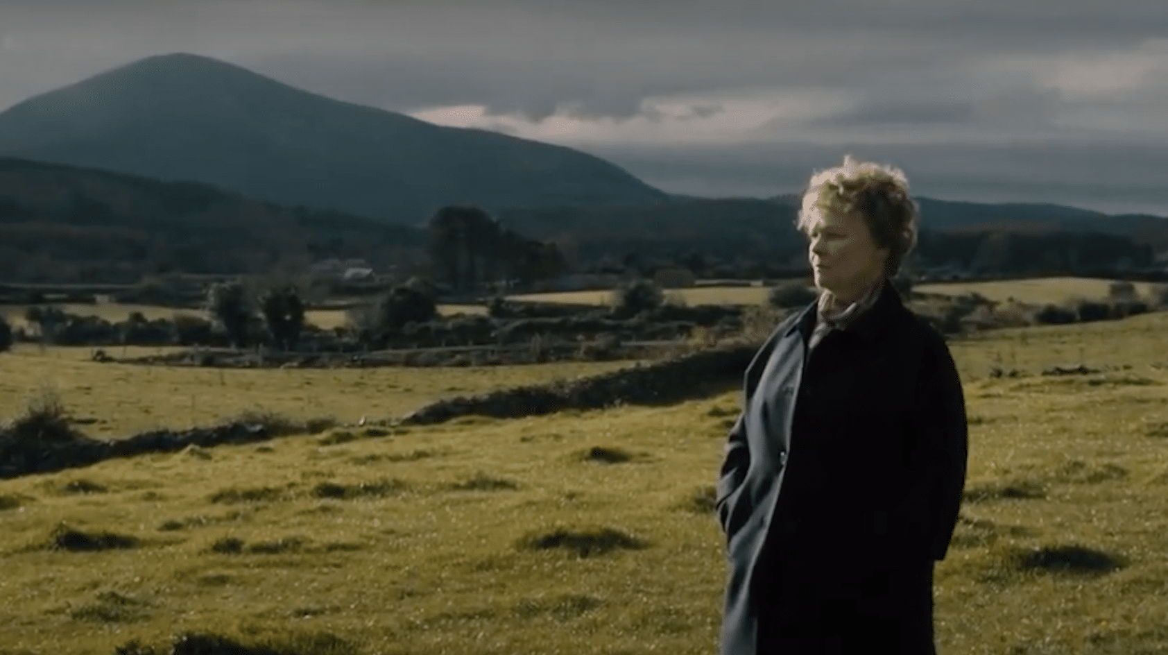 Philomena: a movie worth talking about - BraveLove